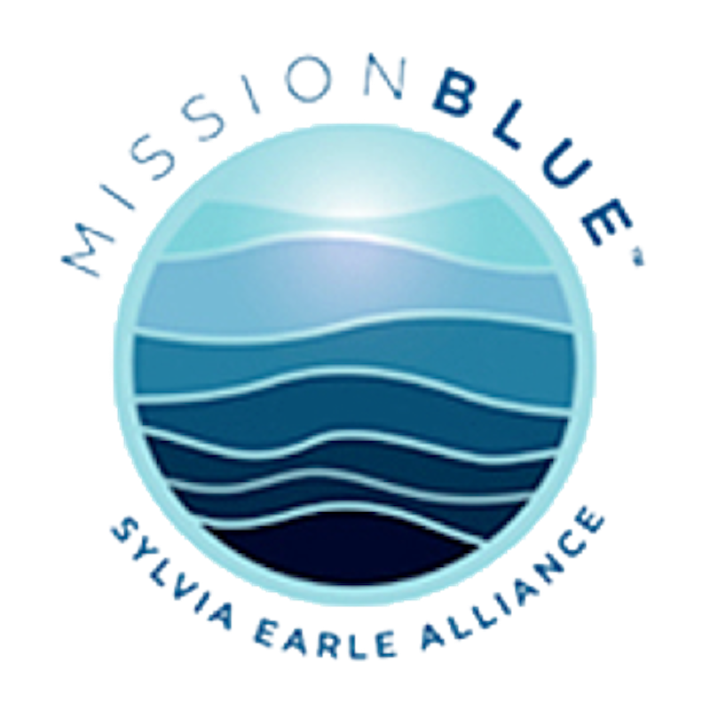 Our Commitment | Delivering Conscious Vegan Skincare – OSEA® Malibu